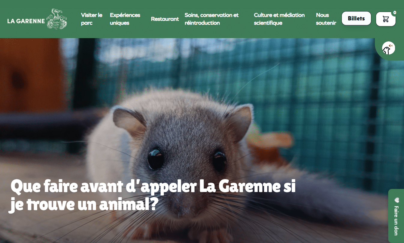 Animal sauvage trouvé que faire avant d'appeler un centre de soins