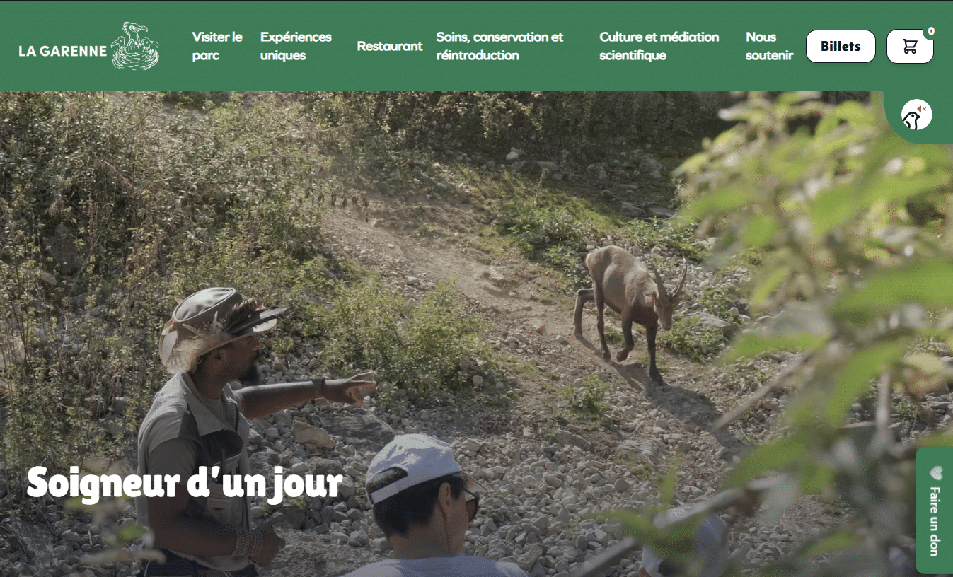 Soigneur d'un jour : vivez une journée avec un soigneur animalier